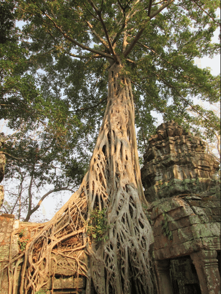 Around the World in Cathay, Singapore, and Lufthansa First: How to Do ...